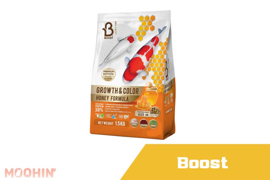 10 อาหารปลาคาร์ฟ ยี่ห้อไหนดี 2025 โตไว สีสด สุขภาพดี - Moohin