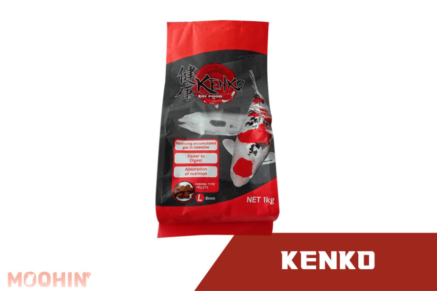 10 อาหารปลาคาร์ฟ ยี่ห้อไหนดี 2025 โตไว สีสด สุขภาพดี - Moohin