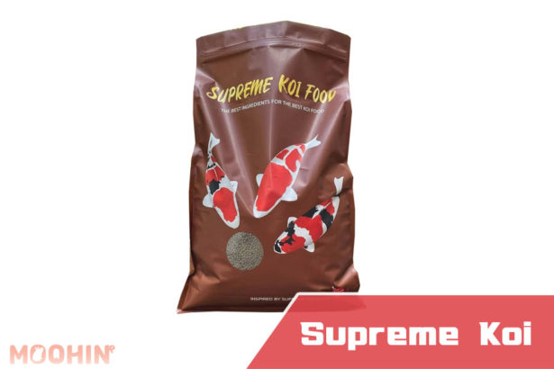 10 อาหารปลาคาร์ฟ ยี่ห้อไหนดี 2025 โตไว สีสด สุขภาพดี - Moohin